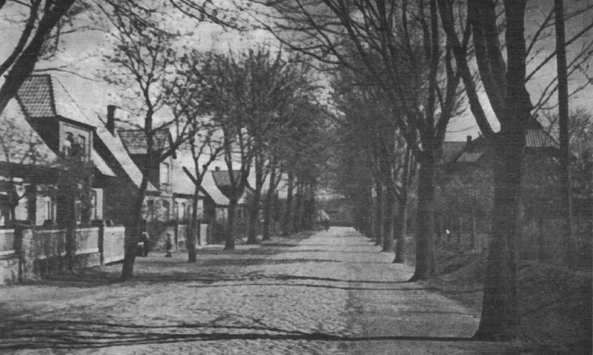 Adendorf-Straßen.de – Wir für Adendorfs Straßen